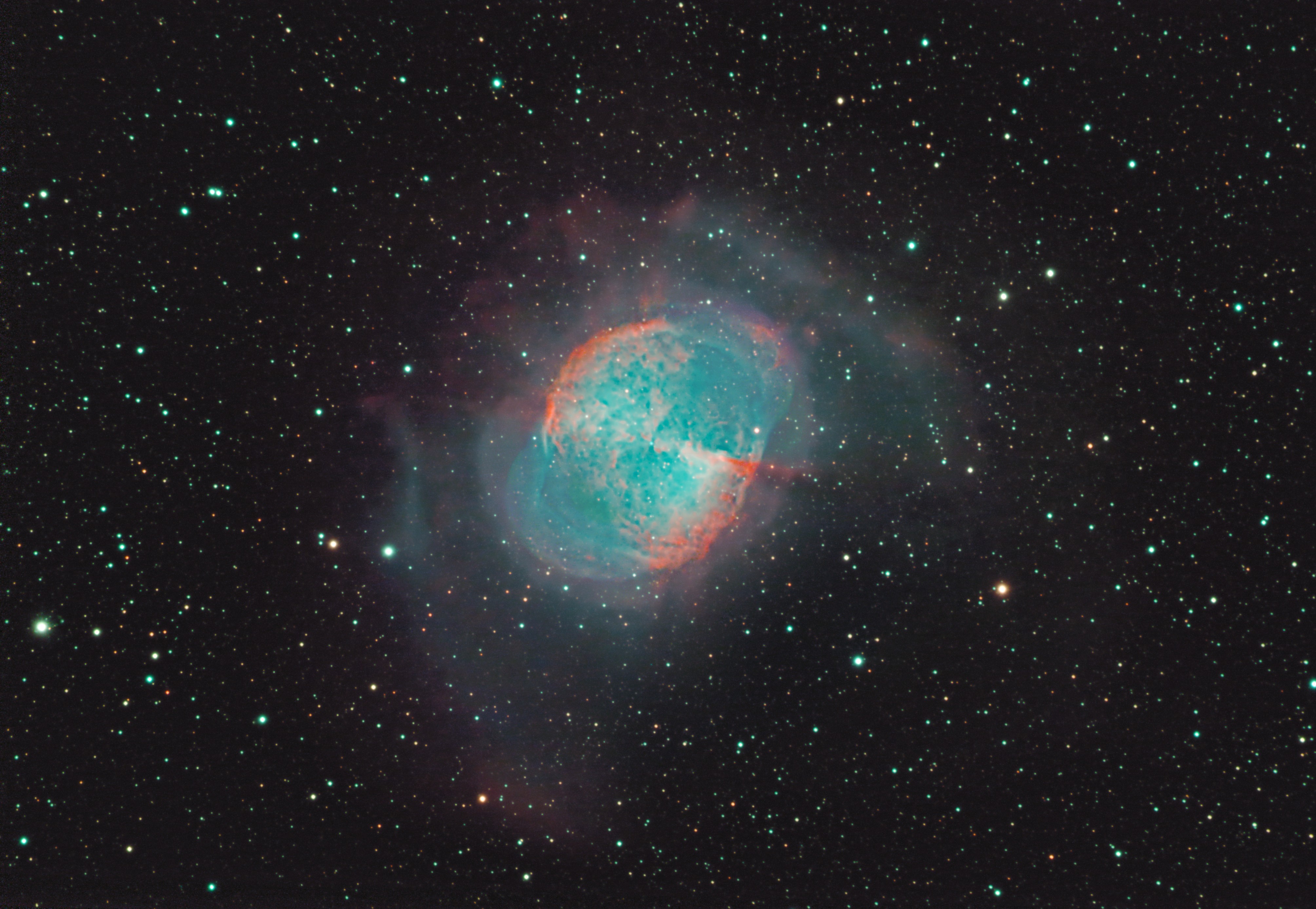 Szeptemberi róka rágta súlyzó